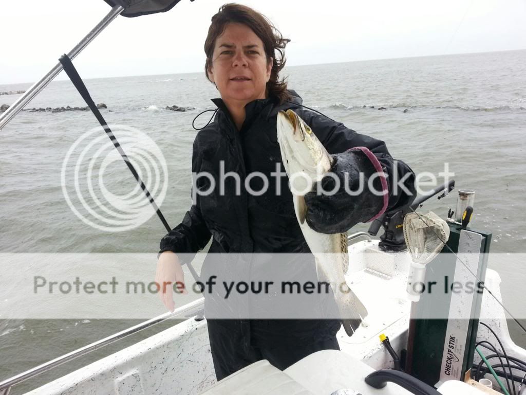 The Hull Truth - Boating and Fishing Forum - Post the best picture of ...